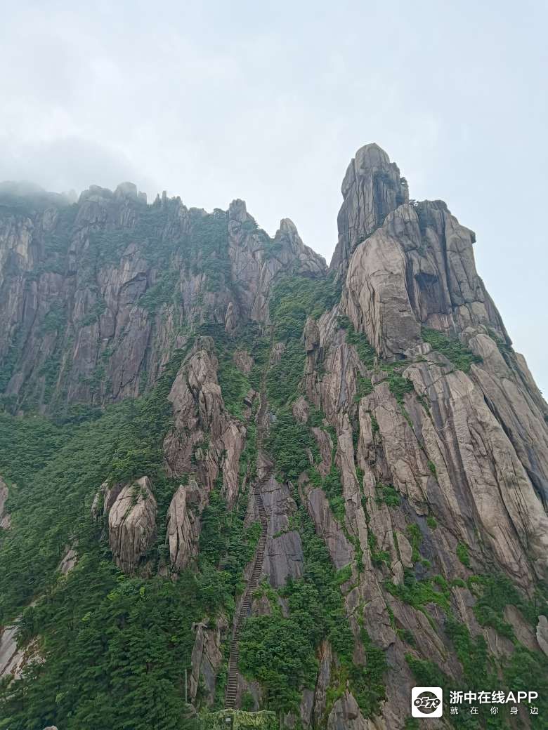 《登黄山记》|八婺杂谈 - 大金华论坛 - bbs.0579.cn