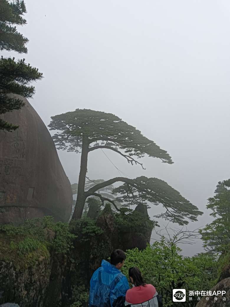《登黄山记》|八婺杂谈 - 大金华论坛 - bbs.0579.cn