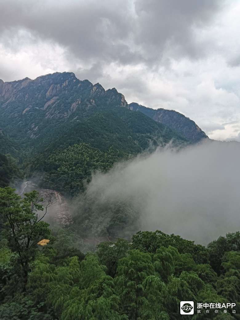 《登黄山记》|八婺杂谈 - 大金华论坛 - bbs.0579.cn