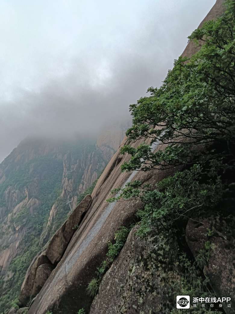 《登黄山记》|八婺杂谈 - 大金华论坛 - bbs.0579.cn