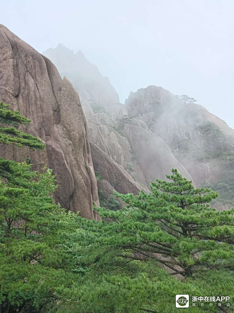 《登黄山记》|八婺杂谈 - 大金华论坛 - bbs.0579.cn